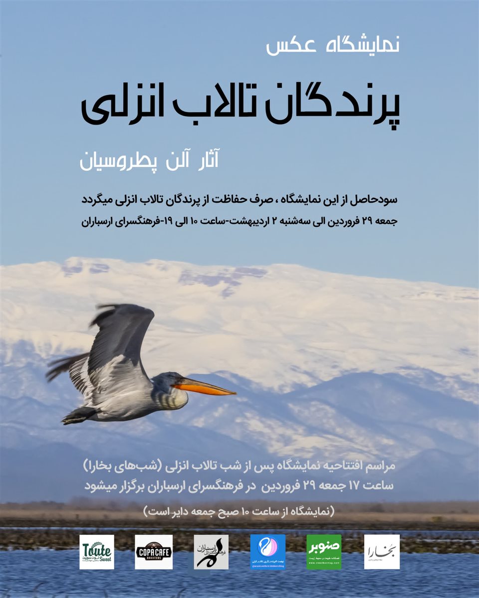 GalleryInfo | / Solo Exhibition/ Photography