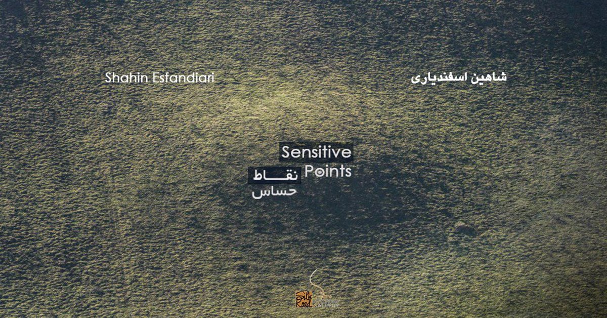 GalleryInfo | Sensitive Points/ Solo Exhibition/ Photography
